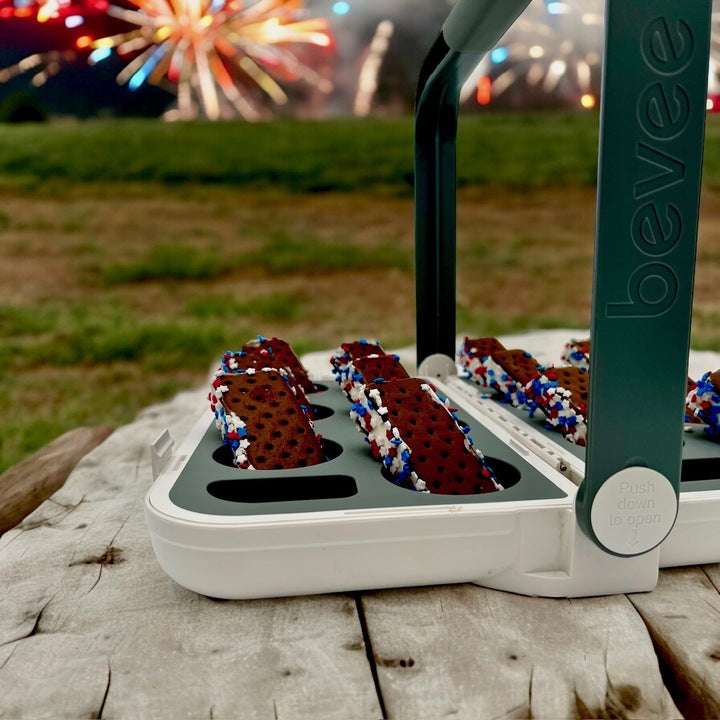 Independence Day Celebration: Celebrate July 4th with Patriotic Moment ...